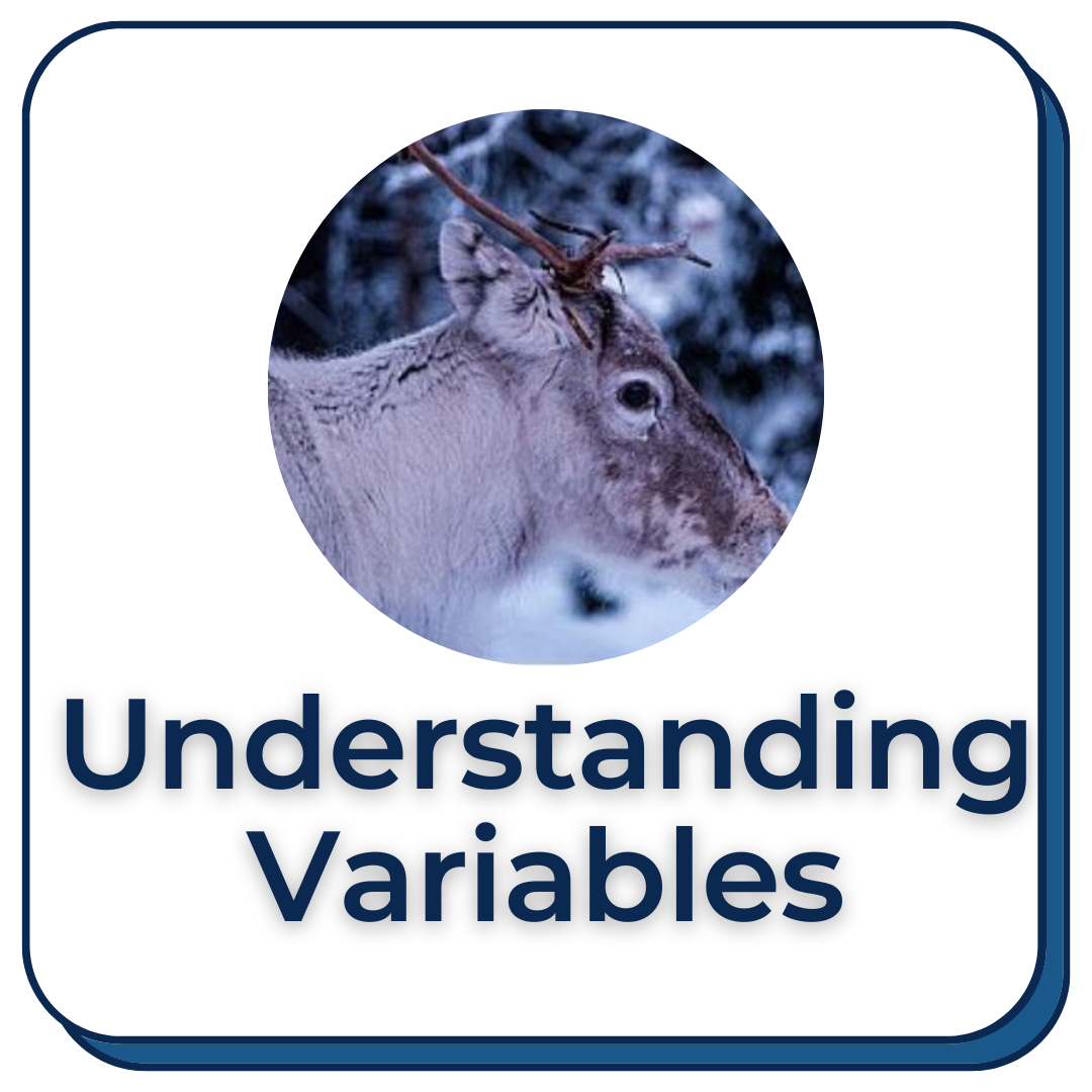 Computer Science Lesson Plans